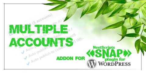 SNAP Multiple Accounts Addon - NextScripts Store